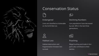 The-Lion project explore with study.pptx