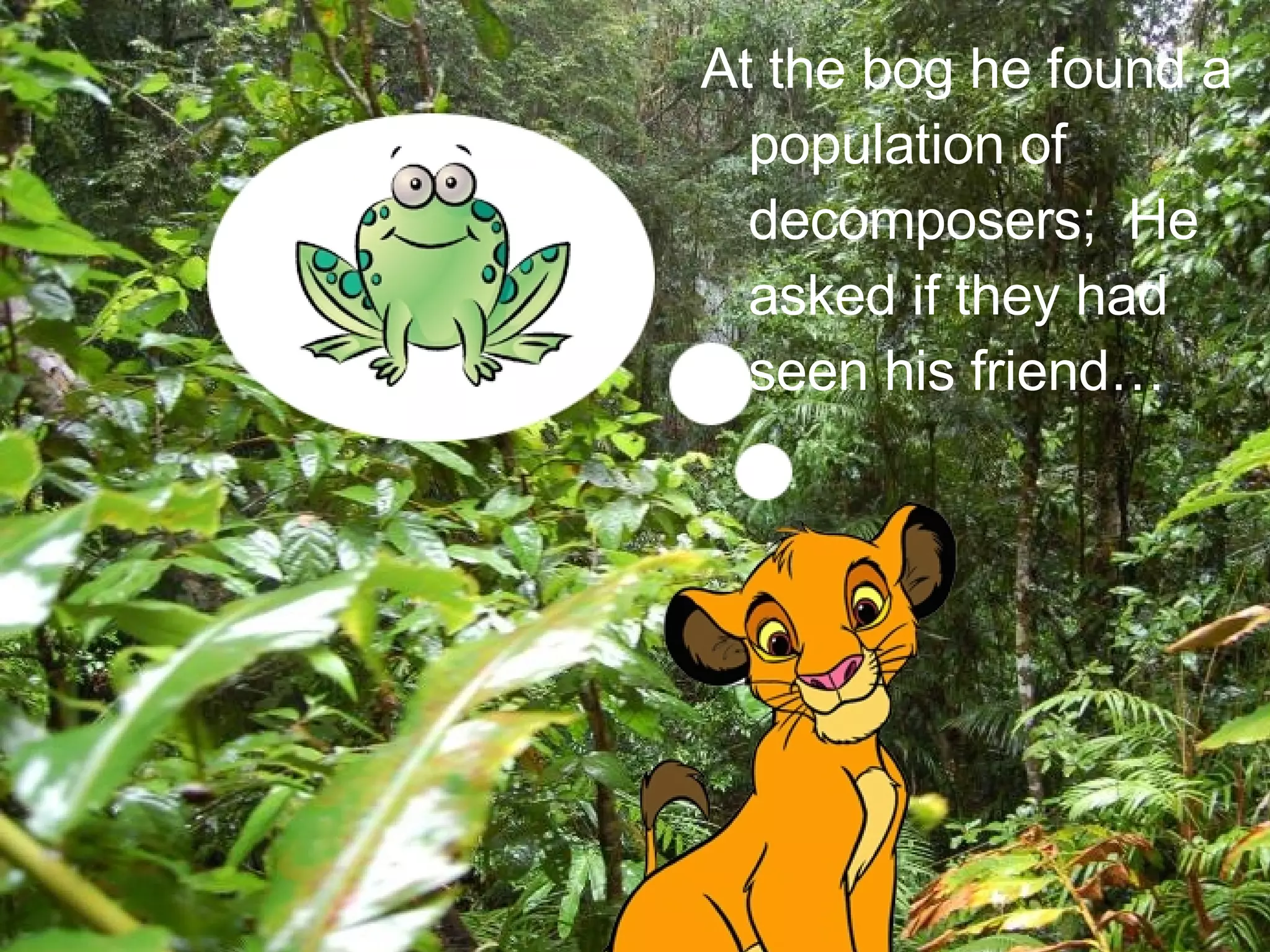The Lion and the Frog | PPT