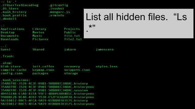 Command Line Tutorial: The "ls" Command In-Depth. | PPT