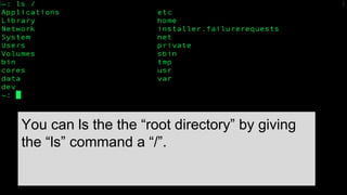 Command Line Tutorial: The "ls" Command In-Depth. | PPT