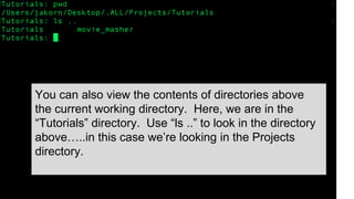 Command Line Tutorial: The "ls" Command In-Depth. | PPT