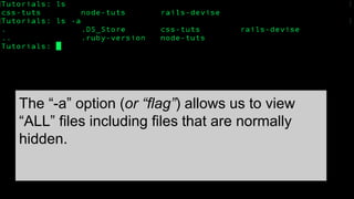 Command Line Tutorial: The "ls" Command In-Depth. | PPT