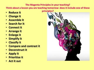 The magenta-principles v2 | PPT