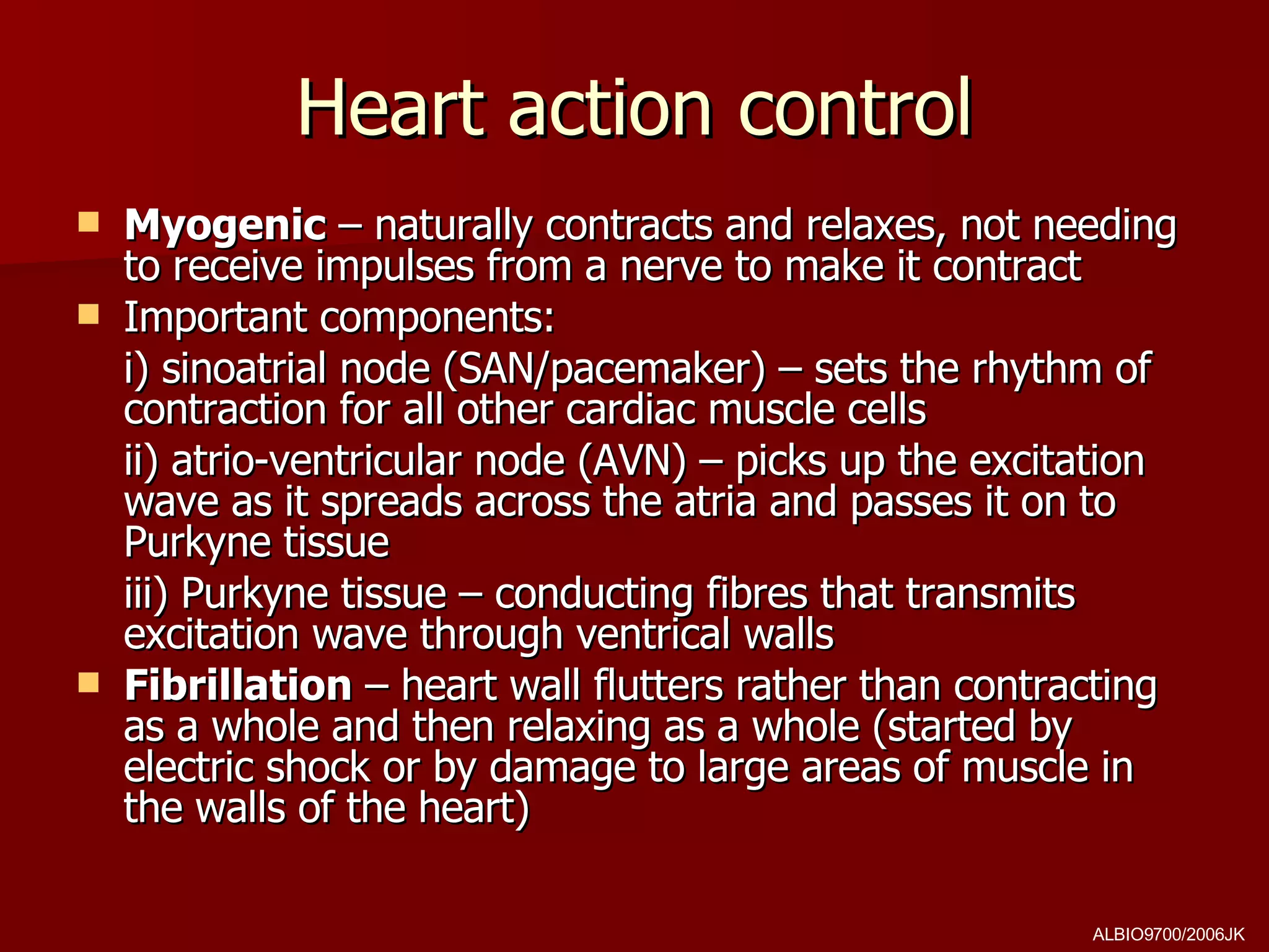 The Mammalian Heart | PPT