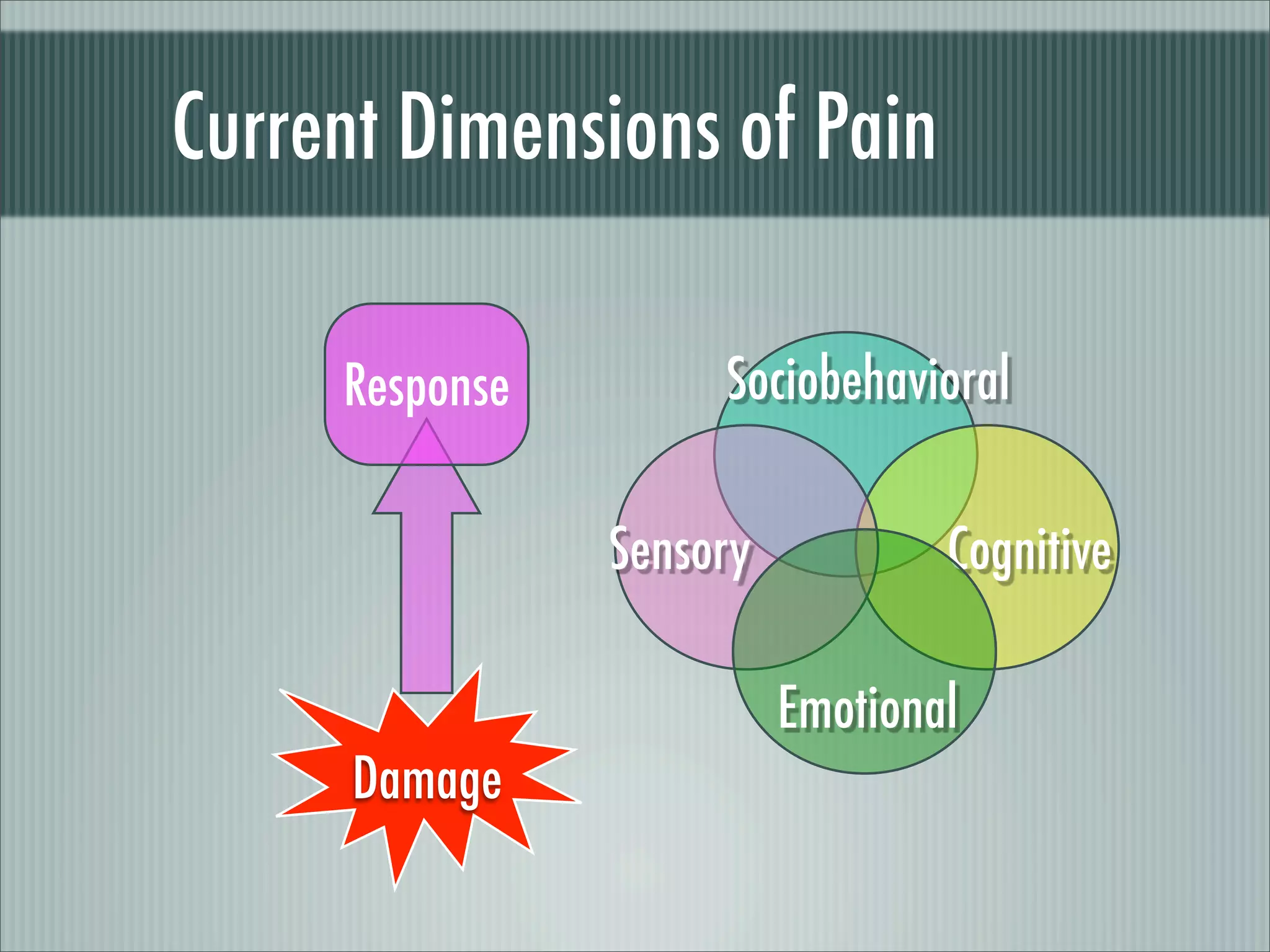 疼痛機制 The mechanism of Pain | PPT