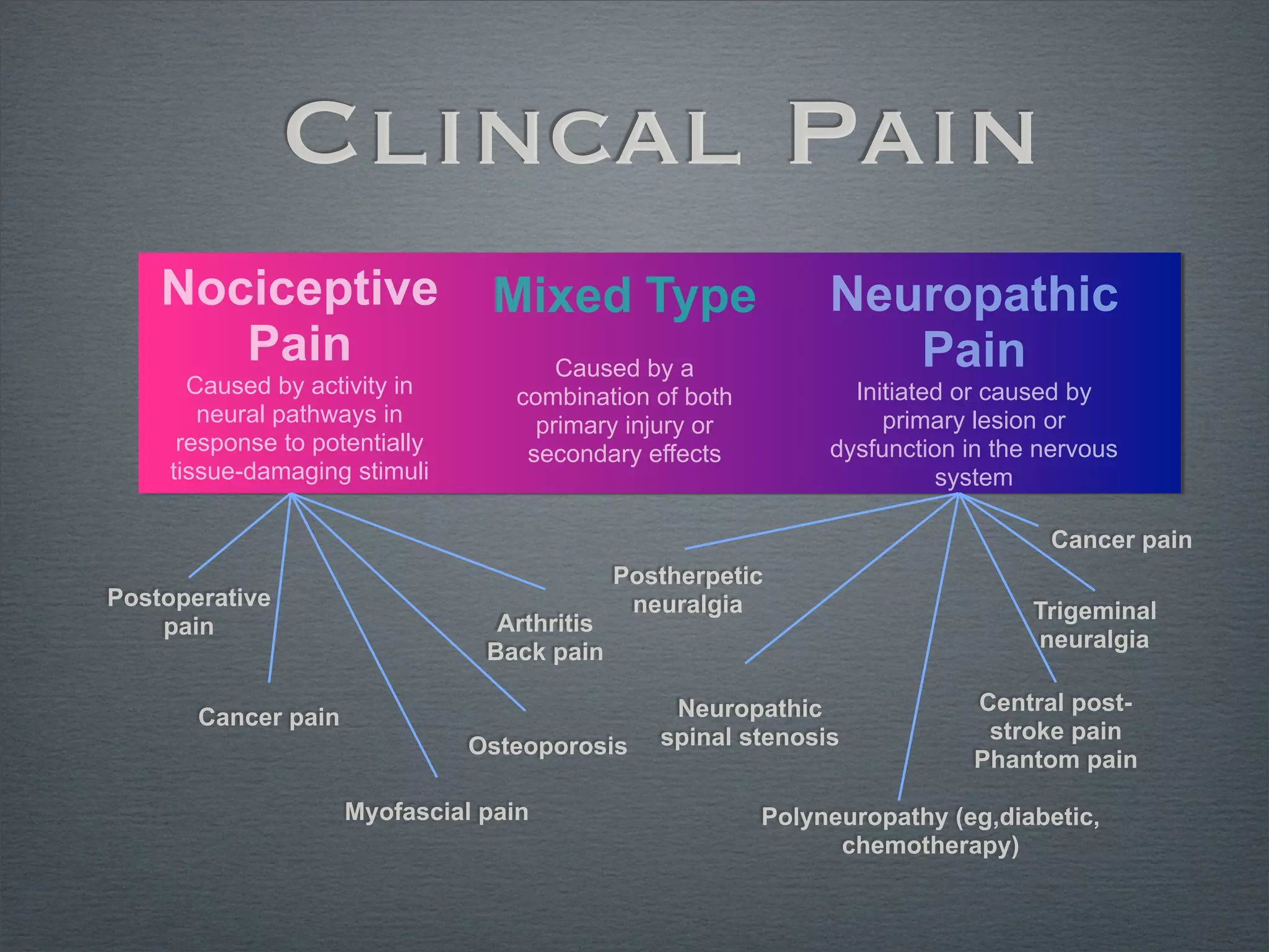 疼痛機制 The mechanism of Pain | PPT