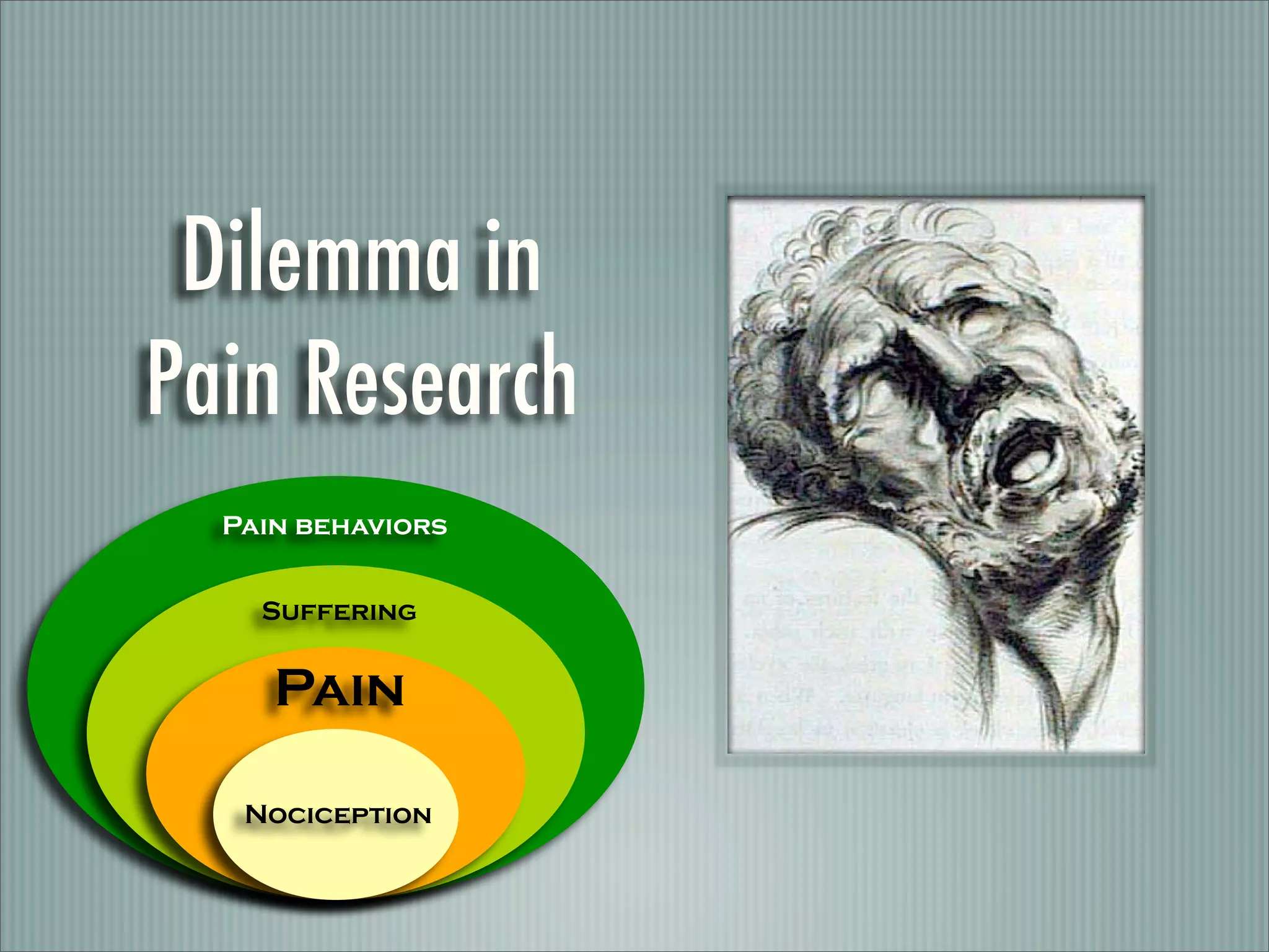 疼痛機制 The mechanism of Pain | PPT