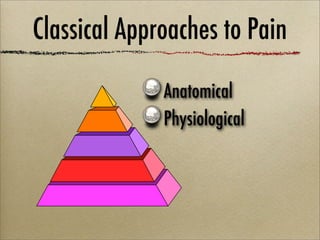 疼痛機制 The mechanism of Pain | PDF