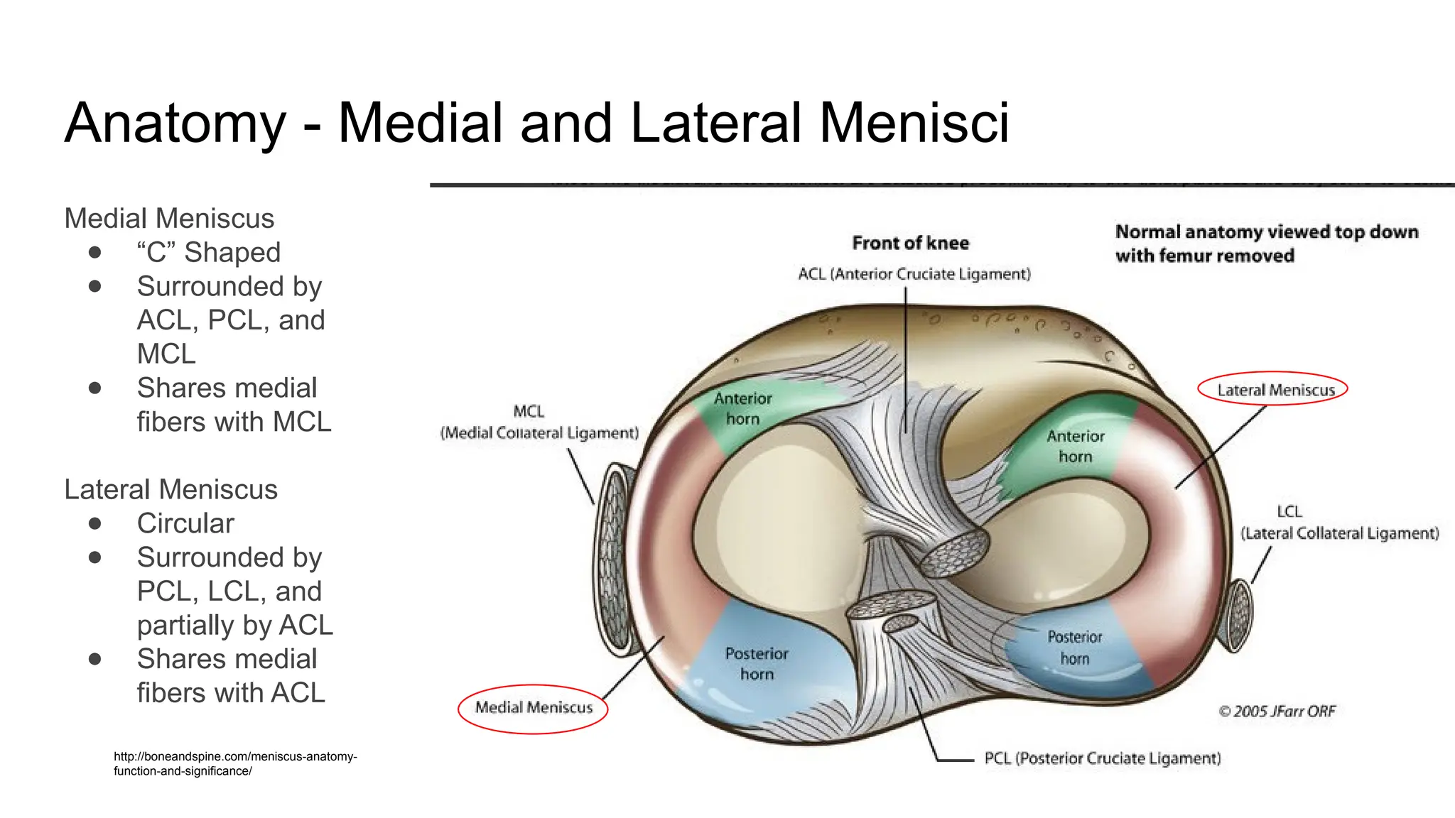 Meniscus Injury and Management PPT slides | PPTX