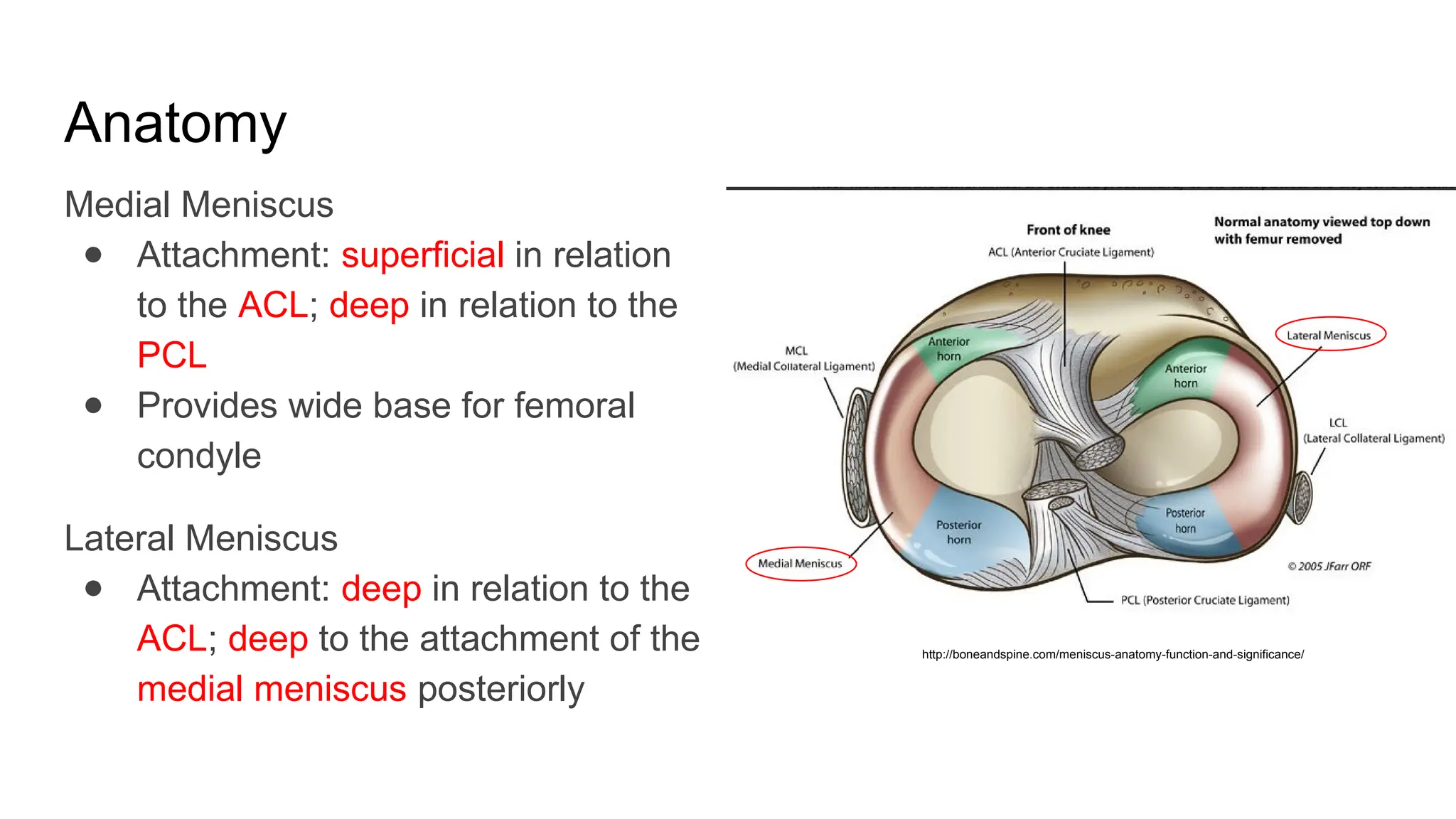 Meniscus Injury and Management PPT slides | PPTX