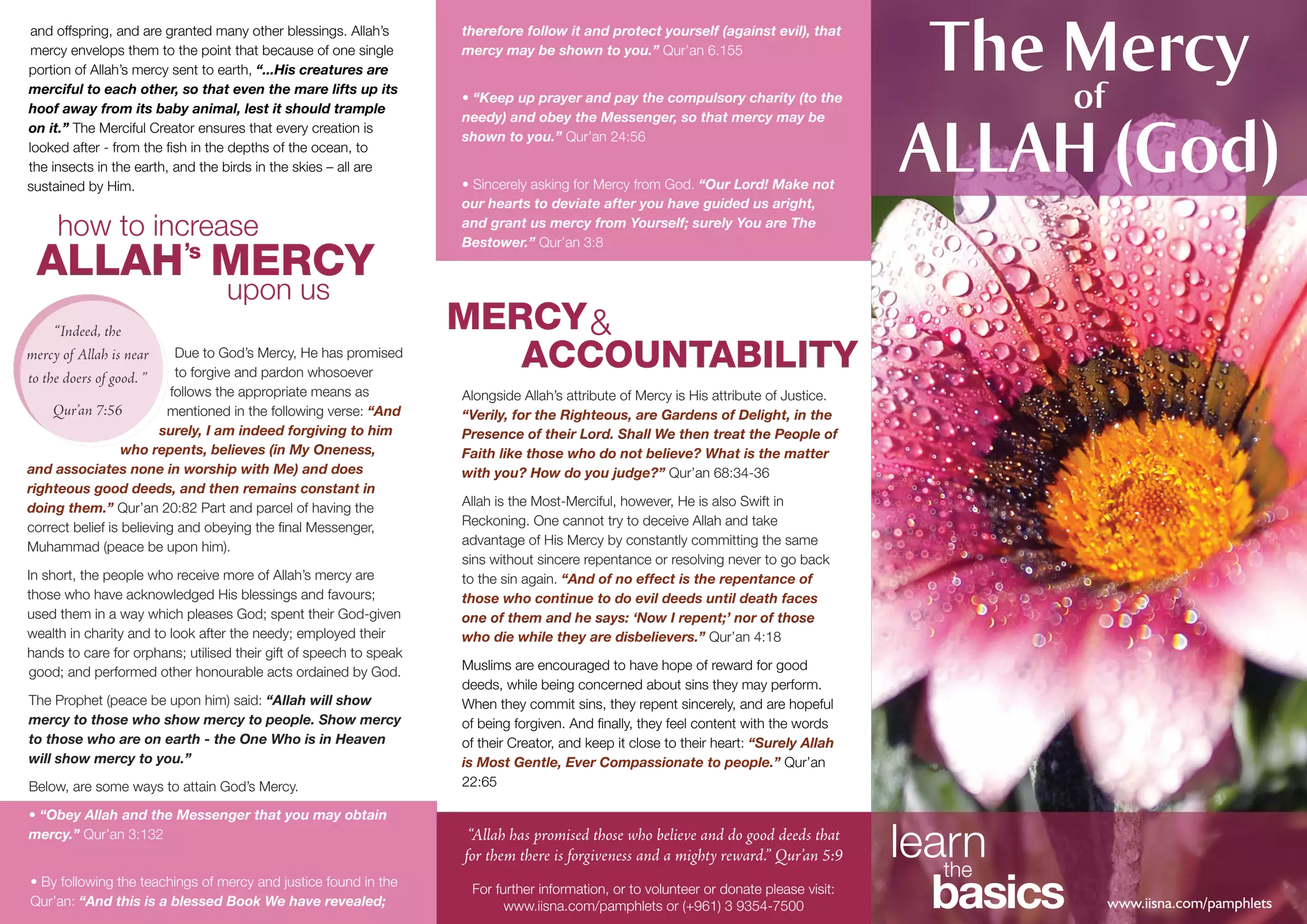 The Mercy of ALLAH ( God ) ( pamphlet ) | PDF
