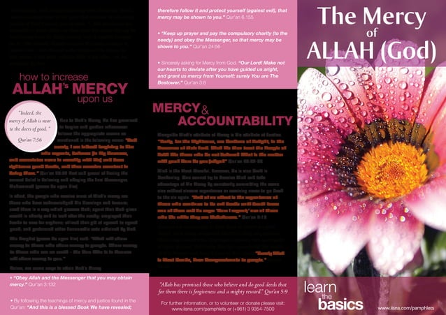 The Mercy of ALLAH ( God ) ( pamphlet ) | PDF