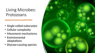 The-Microbial-World--From-Cell-Theory-to-Modern-Understanding.pptx