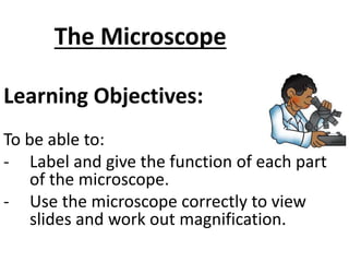 The microscope | PPTX