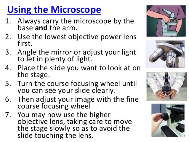The microscope