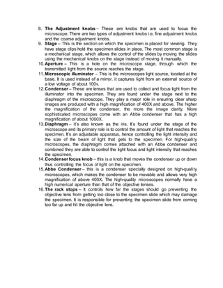 The microscope | DOCX