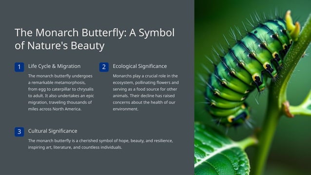 The-Monarch-Butterfly-and-the-Biotech-Controversy.pptx | Agriculture ...