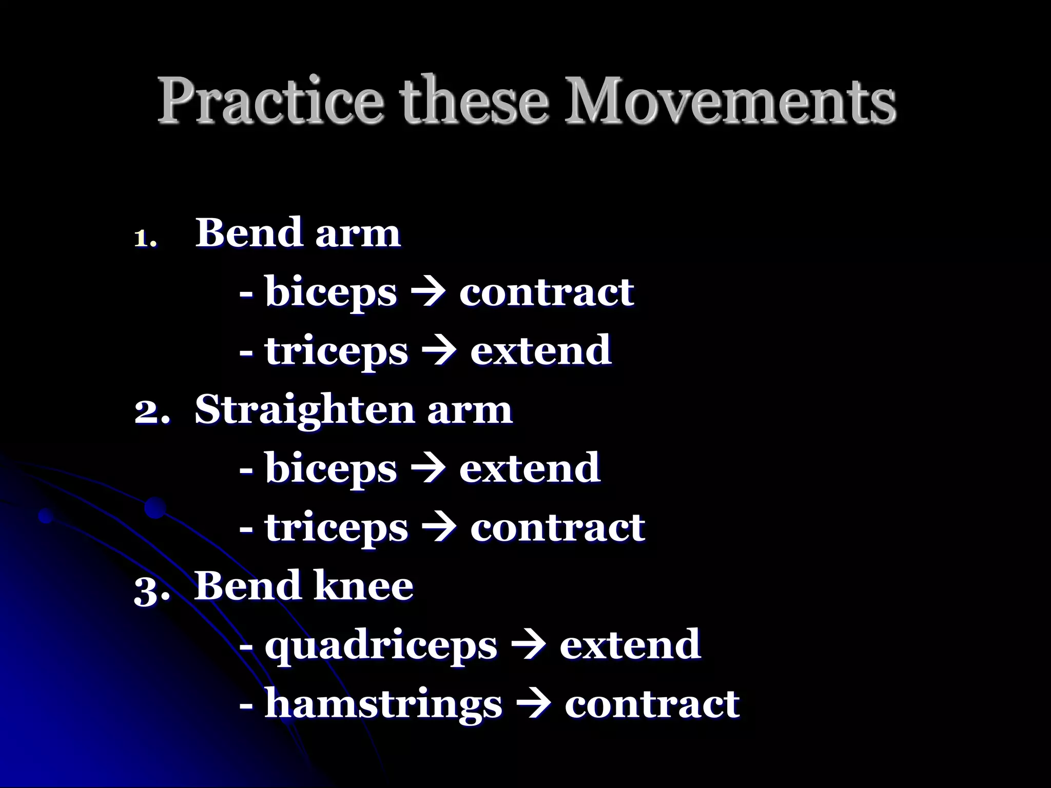 the-muscular-system.ppt