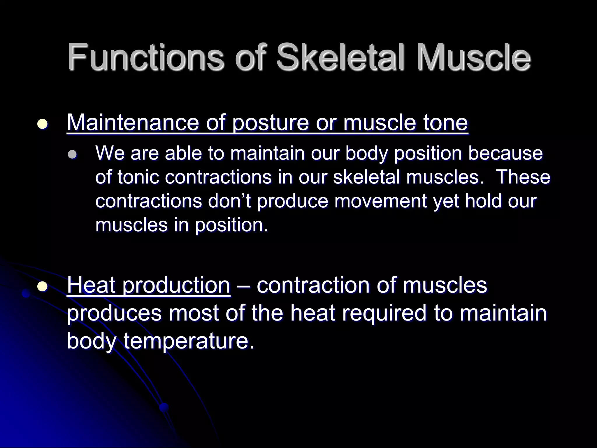 The muscular-system-powerpoint-1227697713114530-8 | PPTX