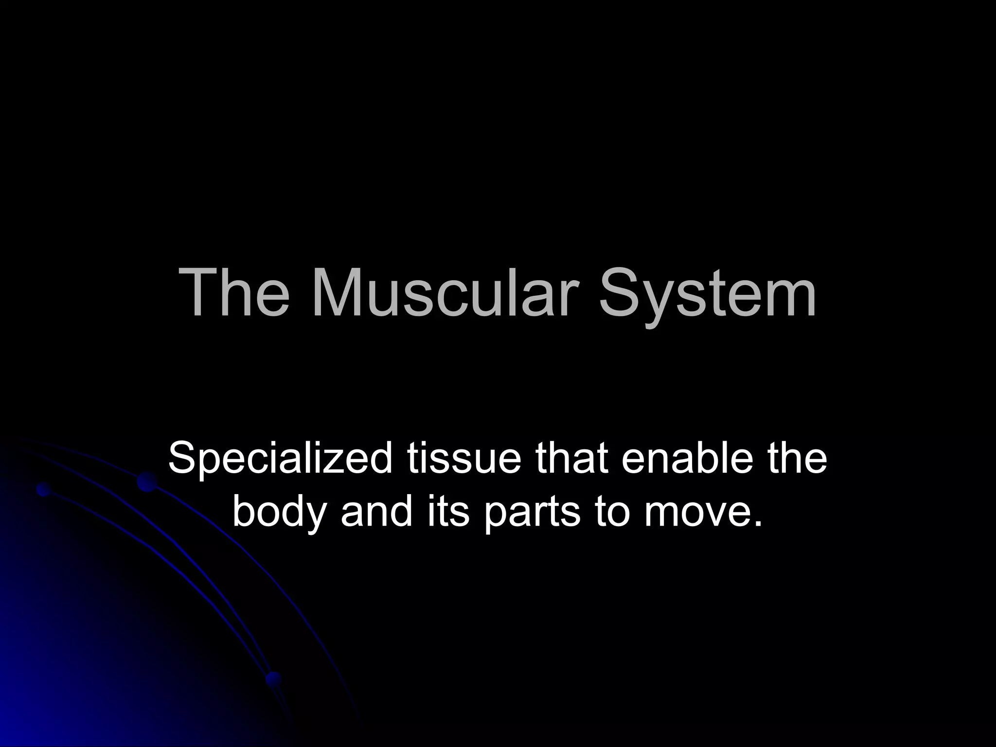 The Muscular System Powerpoint | PPT