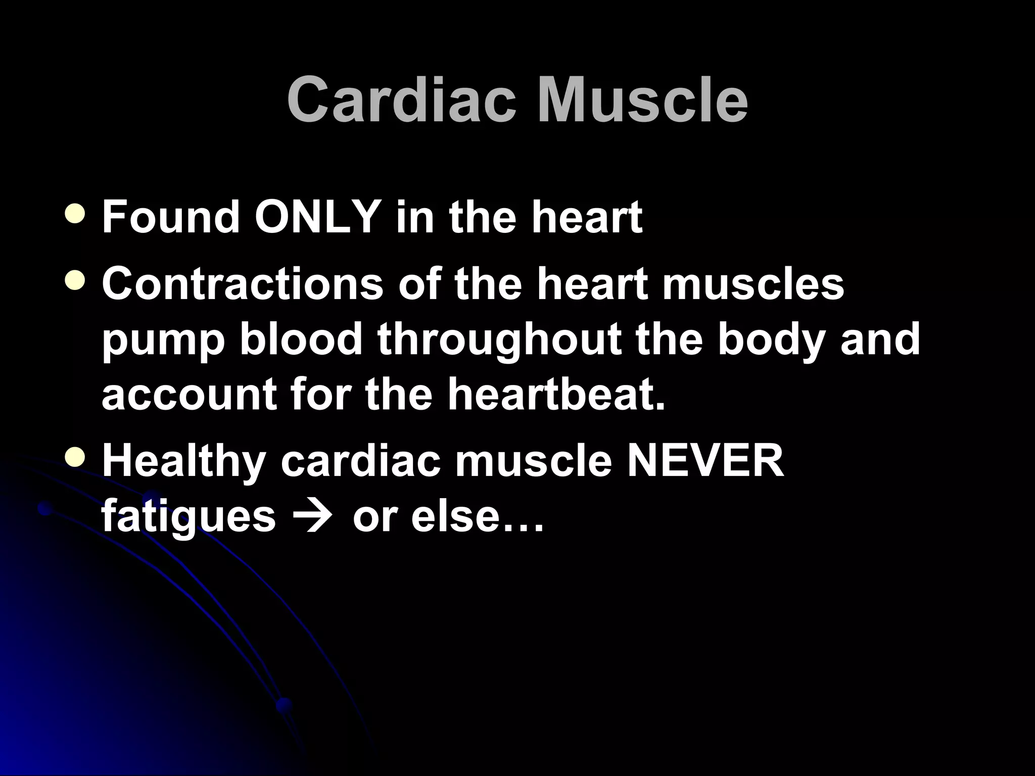 The Muscular System Powerpoint | PPT