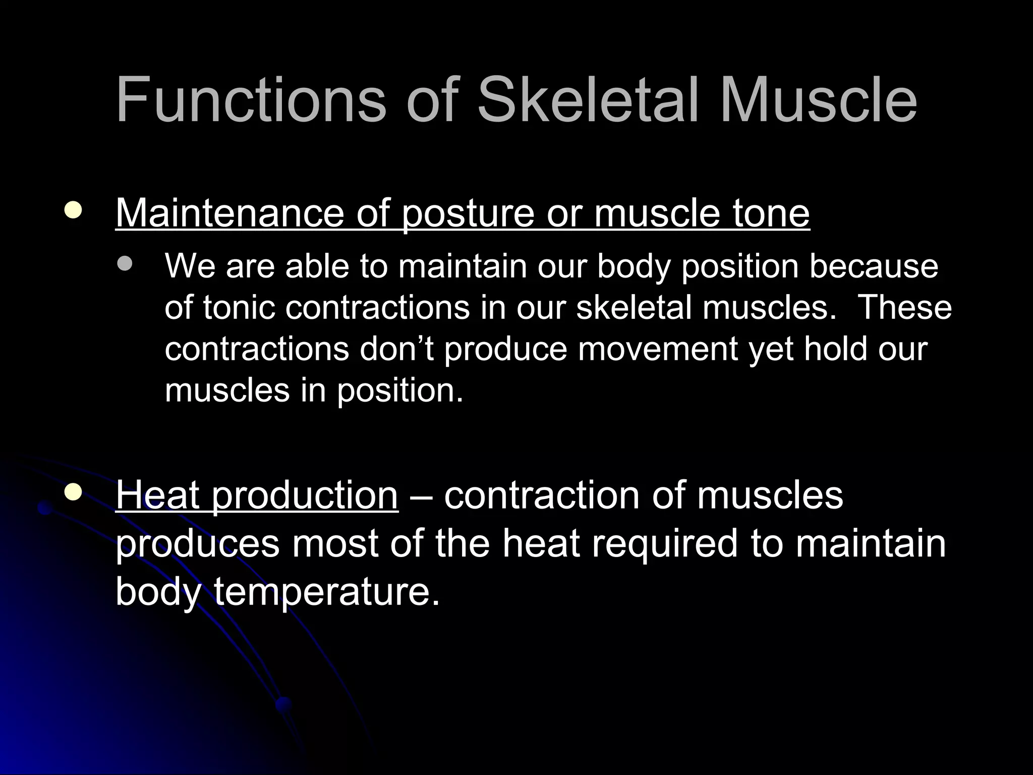 The Muscular System Powerpoint | PPT