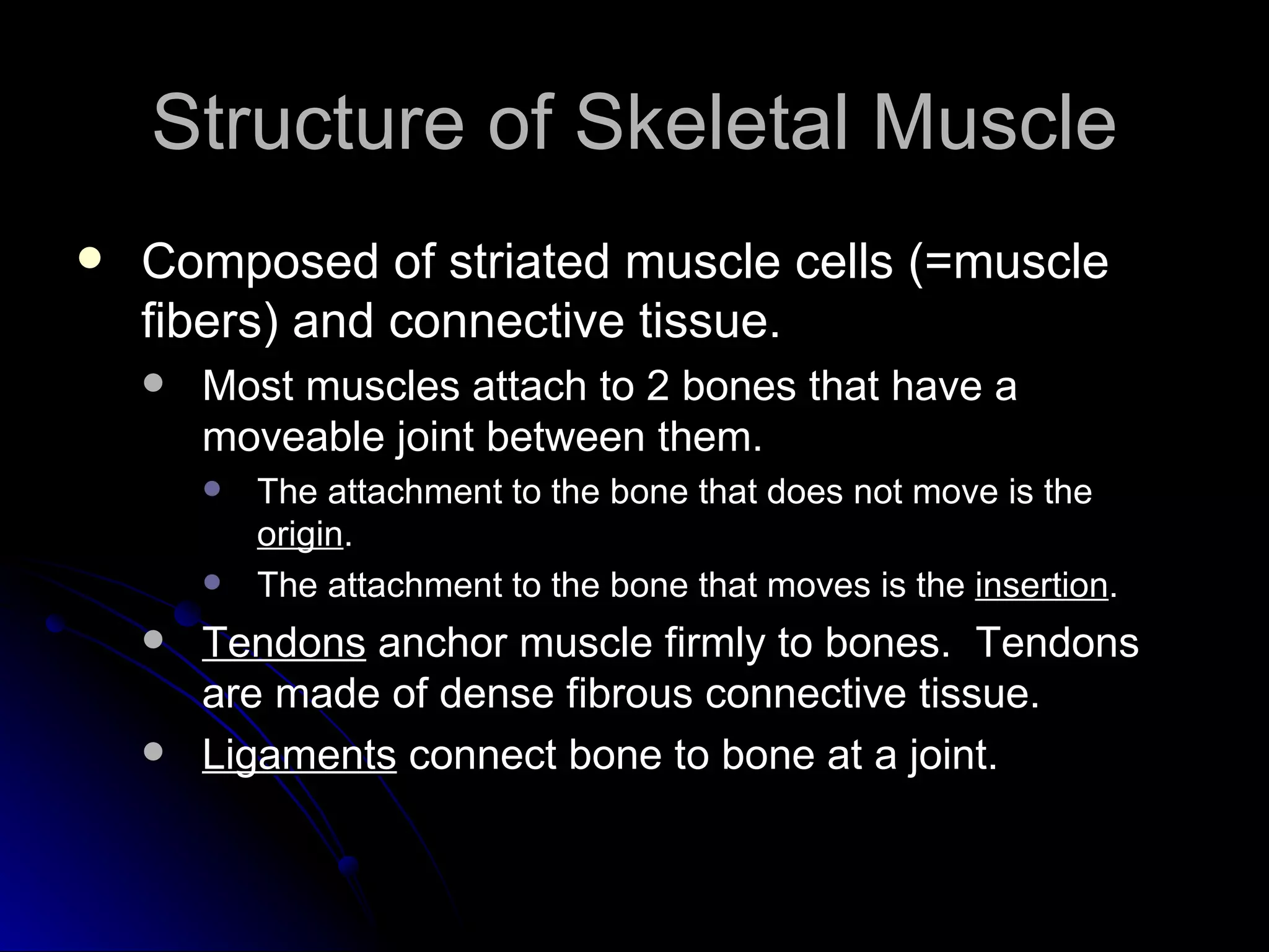 The Muscular System Powerpoint | PPT