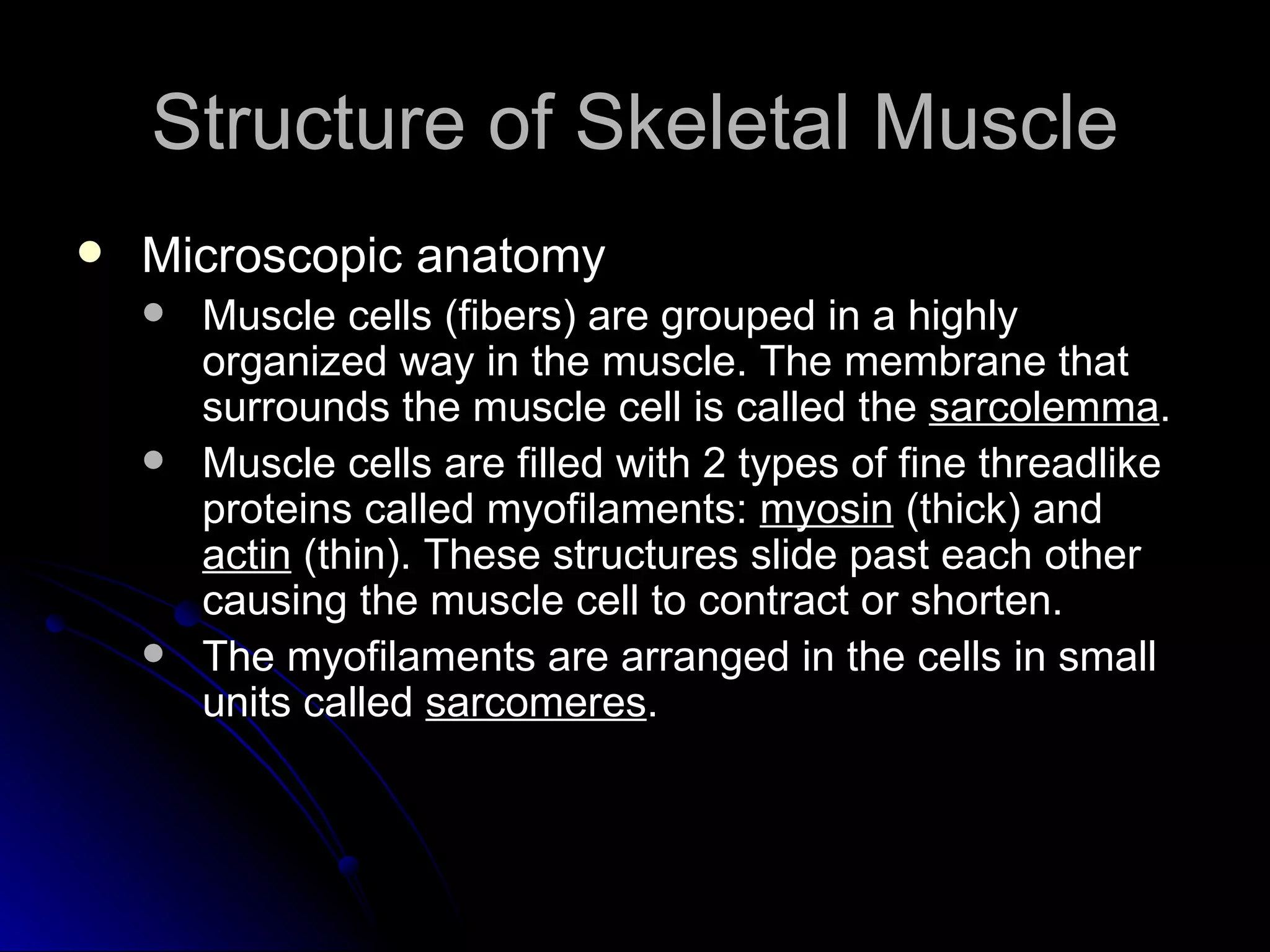 The Muscular System Powerpoint | PPT
