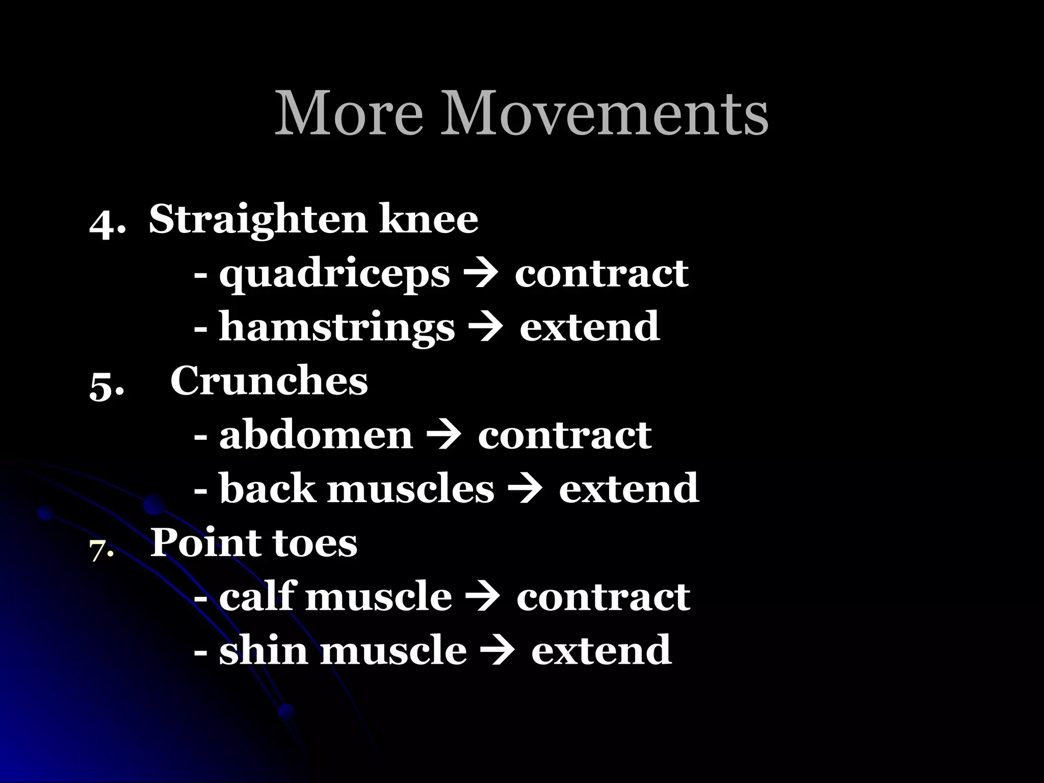 The Muscular System Powerpoint | PPT