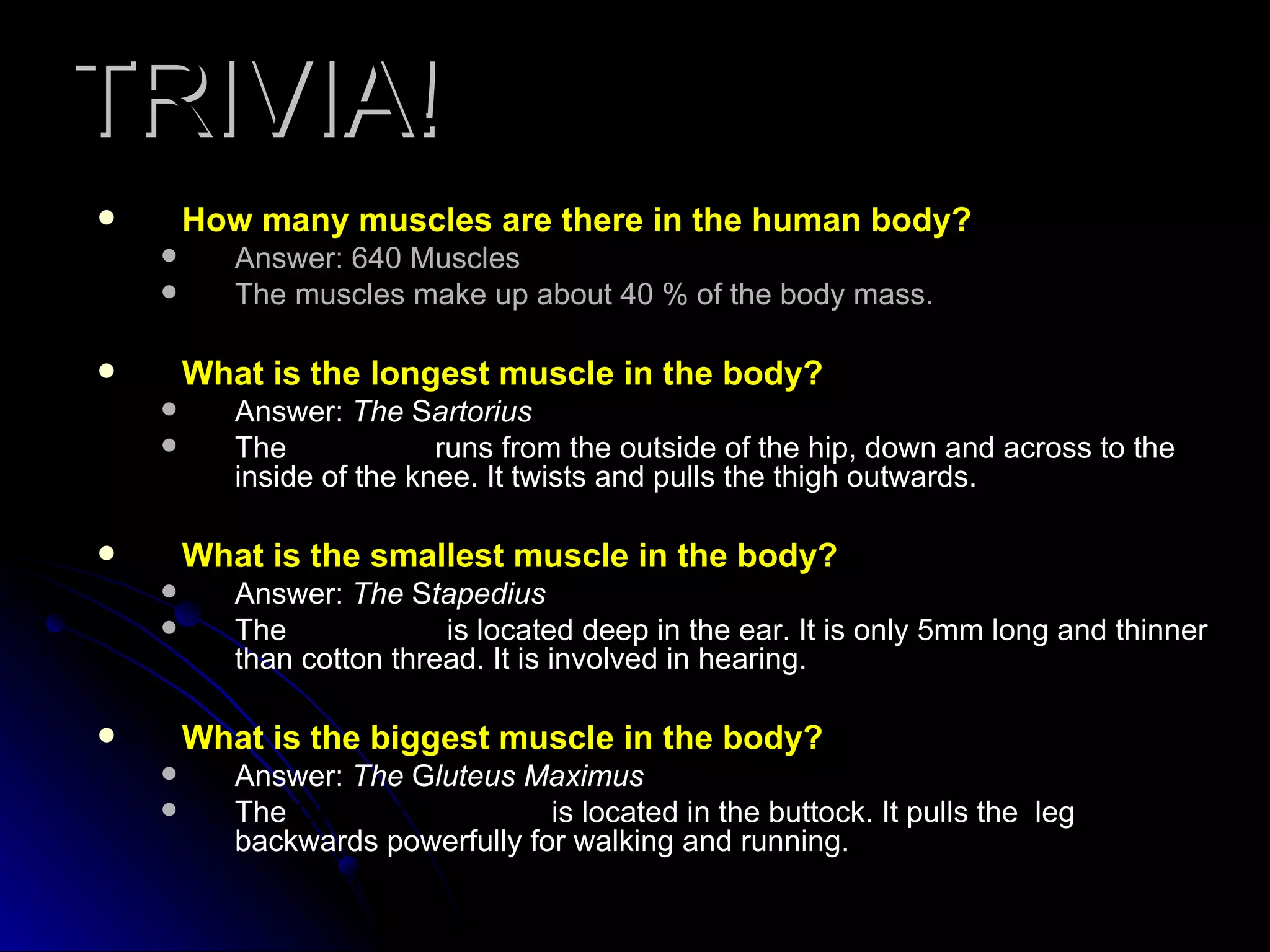 The Muscular System Powerpoint | PPT