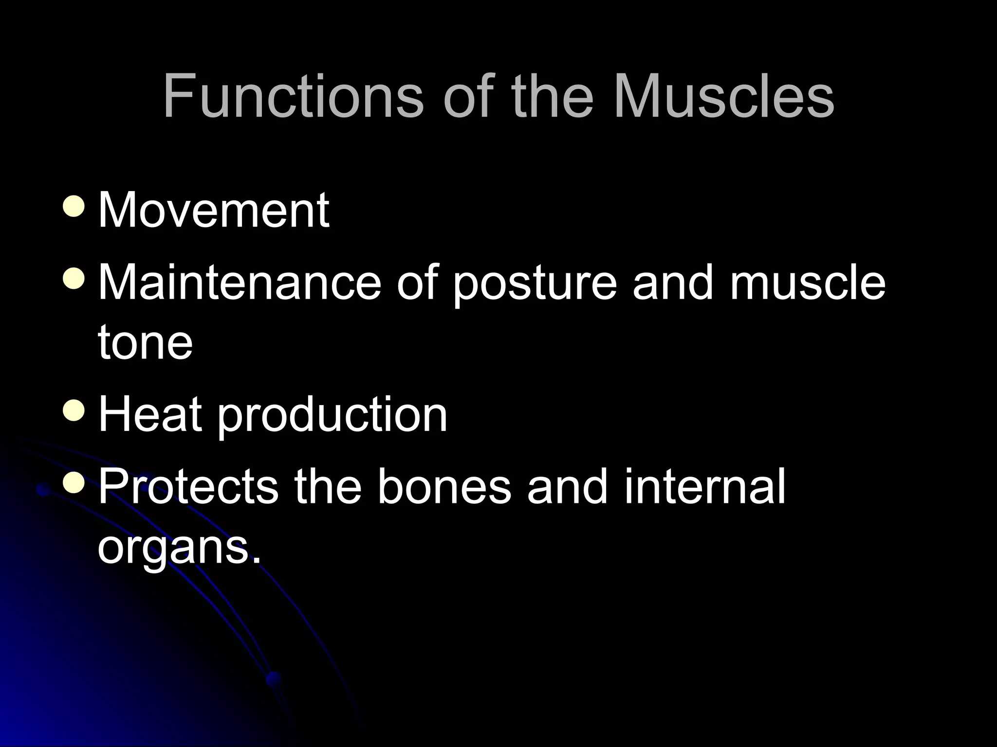 The Muscular System Powerpoint | PPT