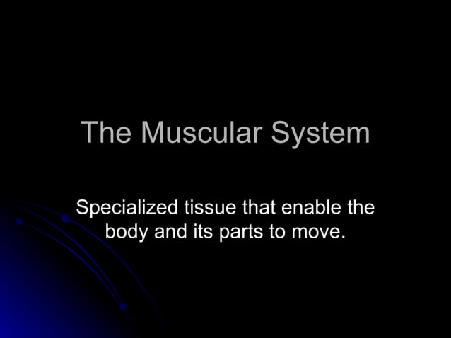 The Muscular System Powerpoint | PPT