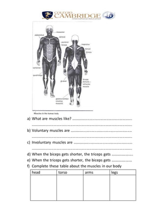 The musculoskeletal-system-tests 14242 | PDF