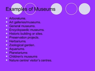The Museum Experience | PPT