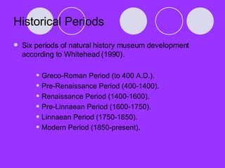 The Museum Experience | PPT