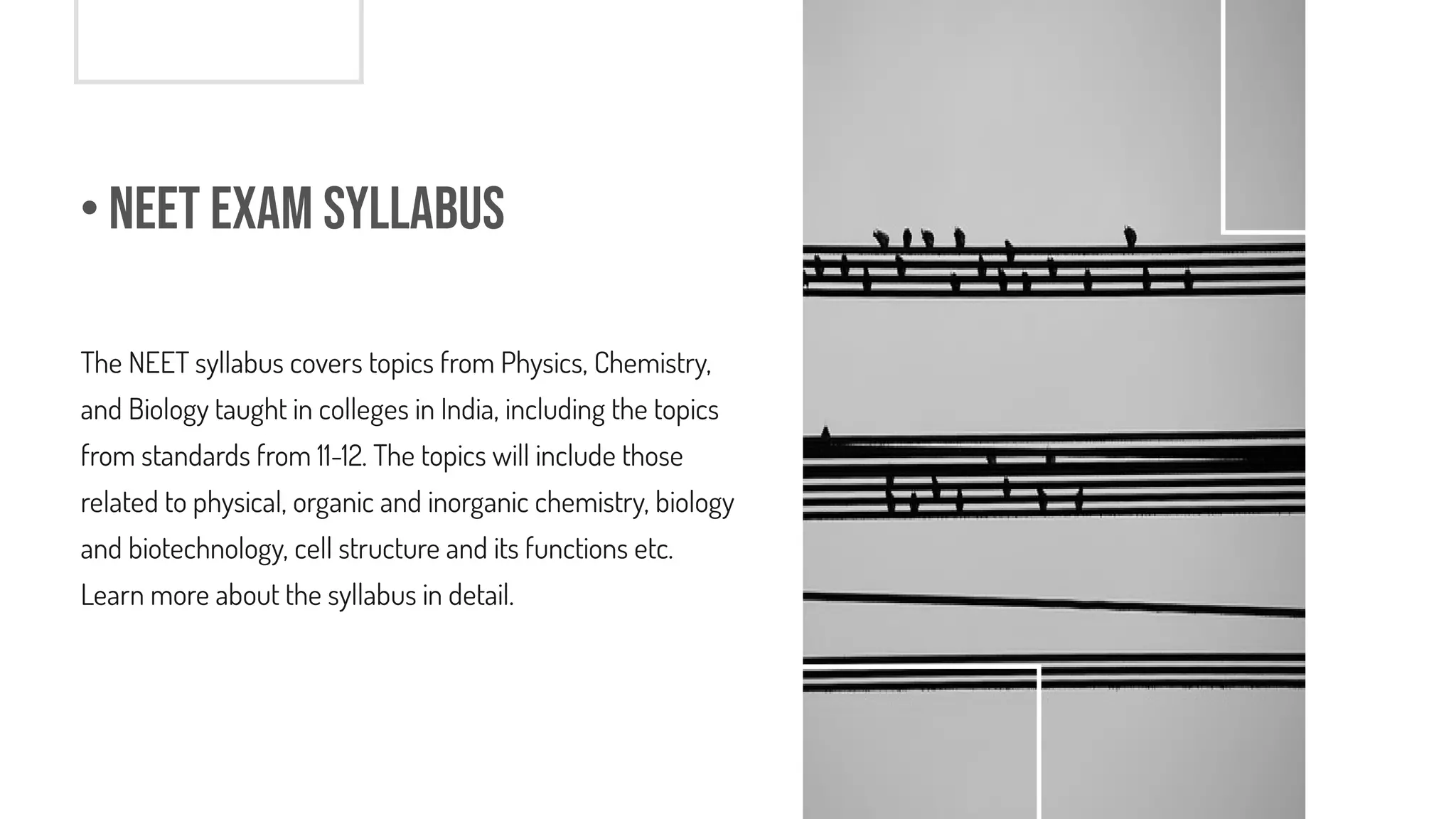 The NEET exam your guide to the syllabus paper structure and more | PDF