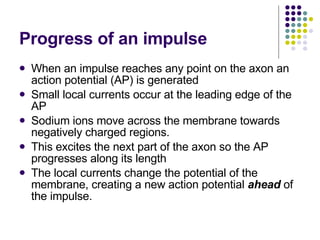The Nerve Impulse Part 2 | PPT
