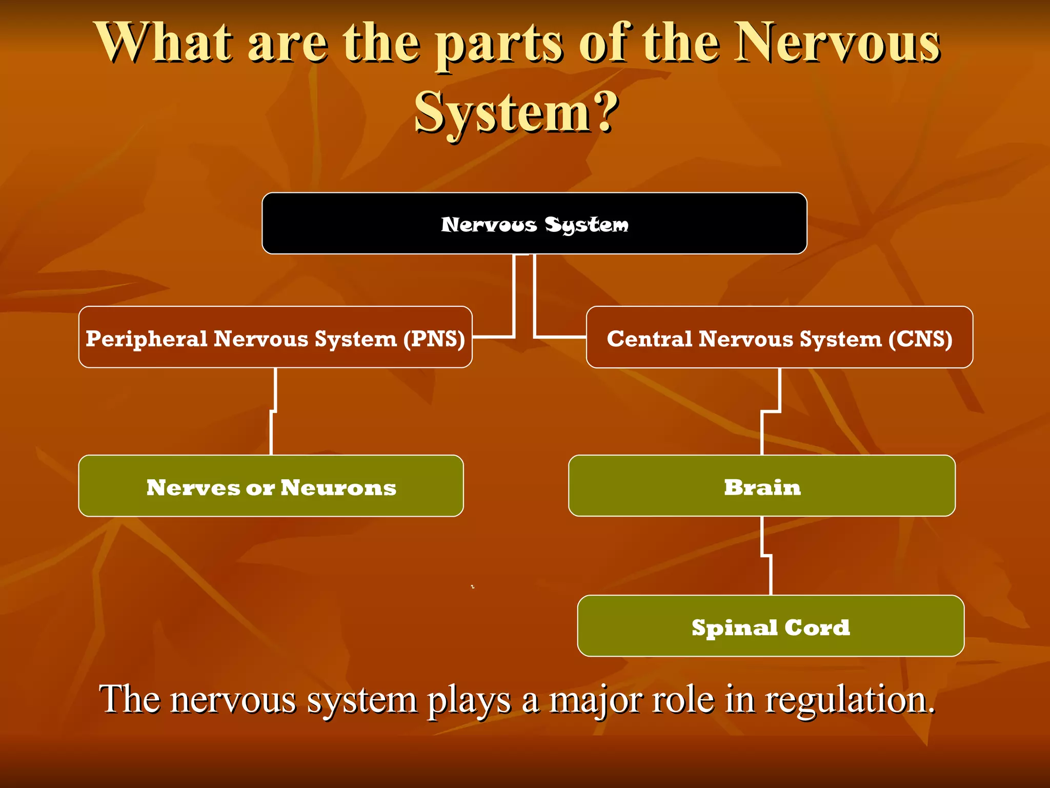 The Nervous System | PPT