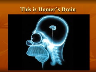 The Nervous System | PPT