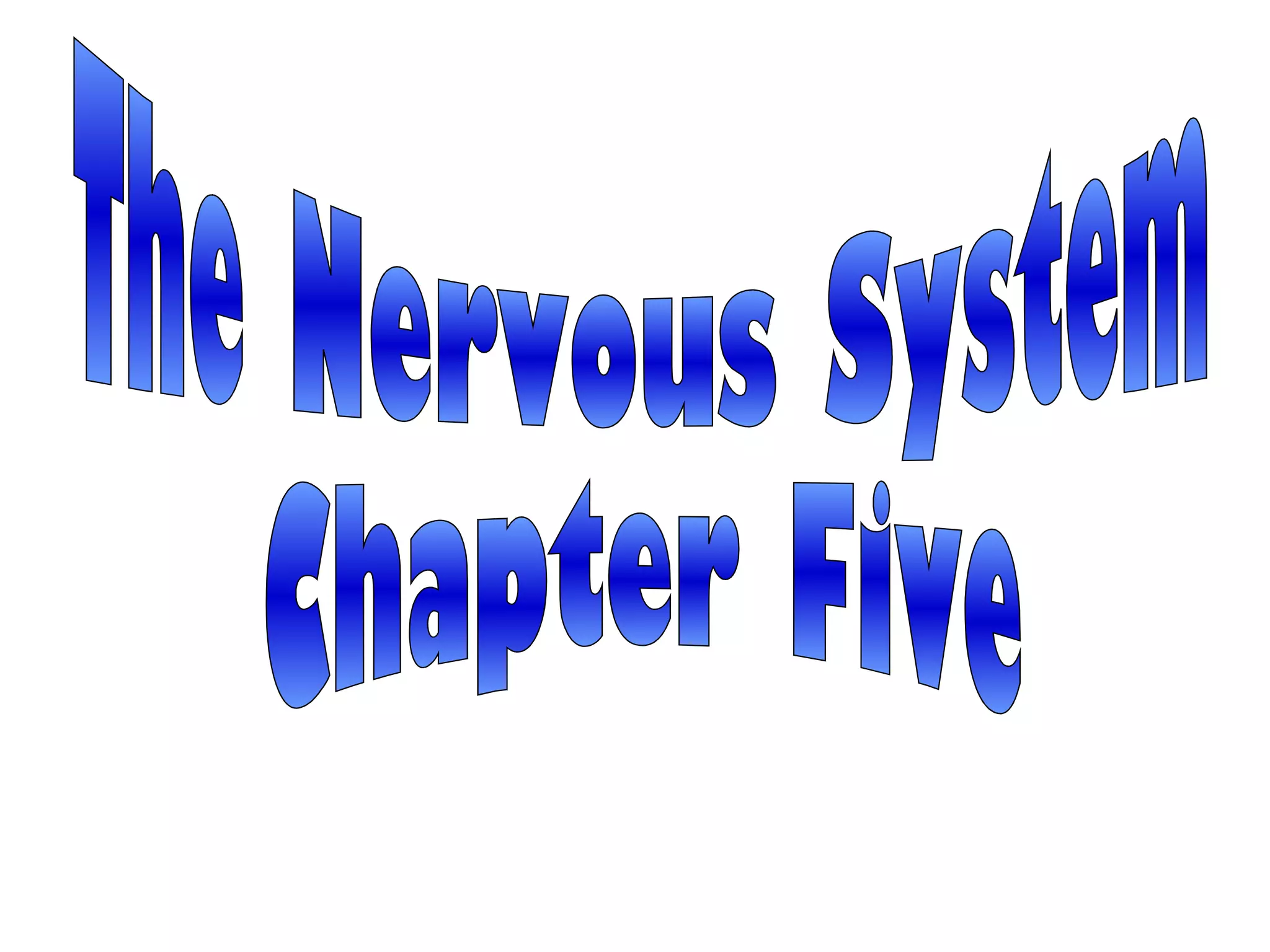 The Nervous System | PPT