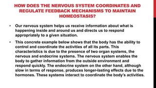 THE-NERVOUS-SYSTEM science 10 powerpoint | PPTX