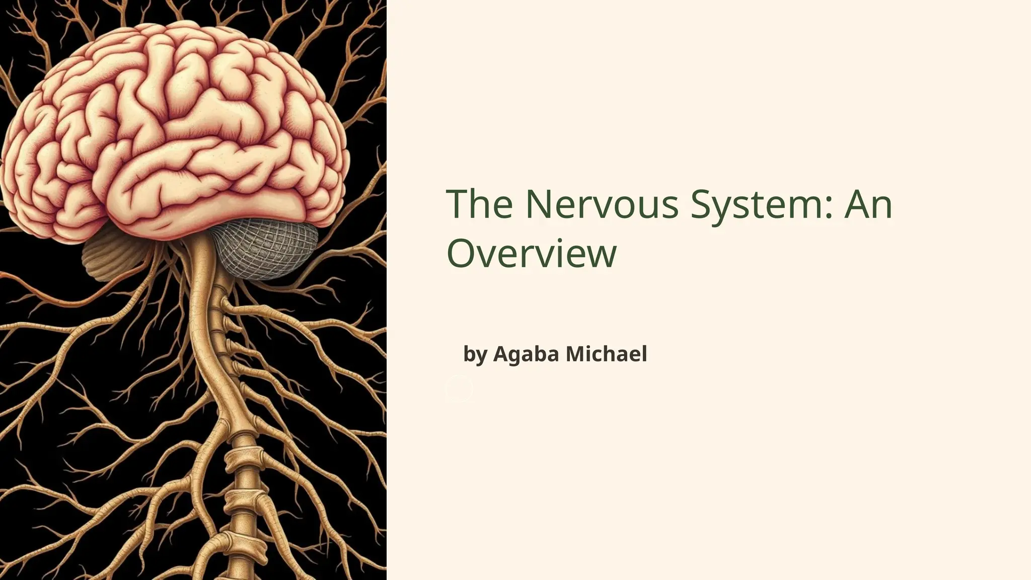 The-Nervous-System-An-Overview and introduction).pptx