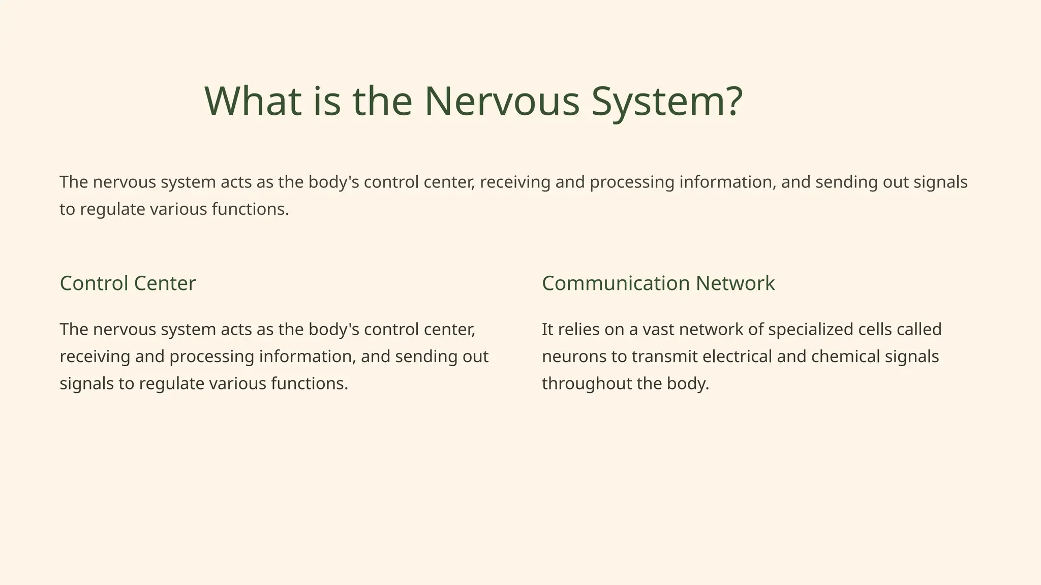 The-Nervous-System-An-Overview and introduction).pptx