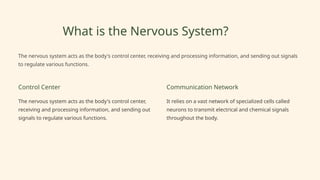 The-Nervous-System-An-Overview and introduction).pptx