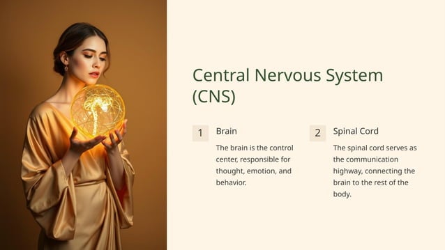 The-Nervous-System-An-Overview and introduction).pptx
