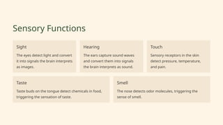The-Nervous-System-An-Overview and introduction).pptx