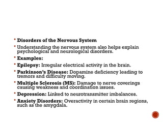 Bio-Psycho Foundation of Education: The Human nervous system | PPT
