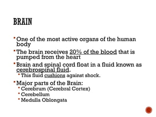 Bio-Psycho Foundation of Education: The Human nervous system | PPT