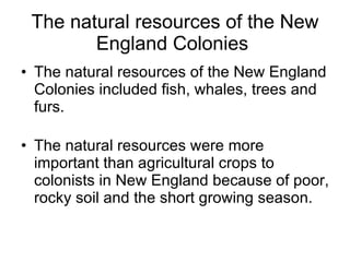 The New England Colonies | PPT