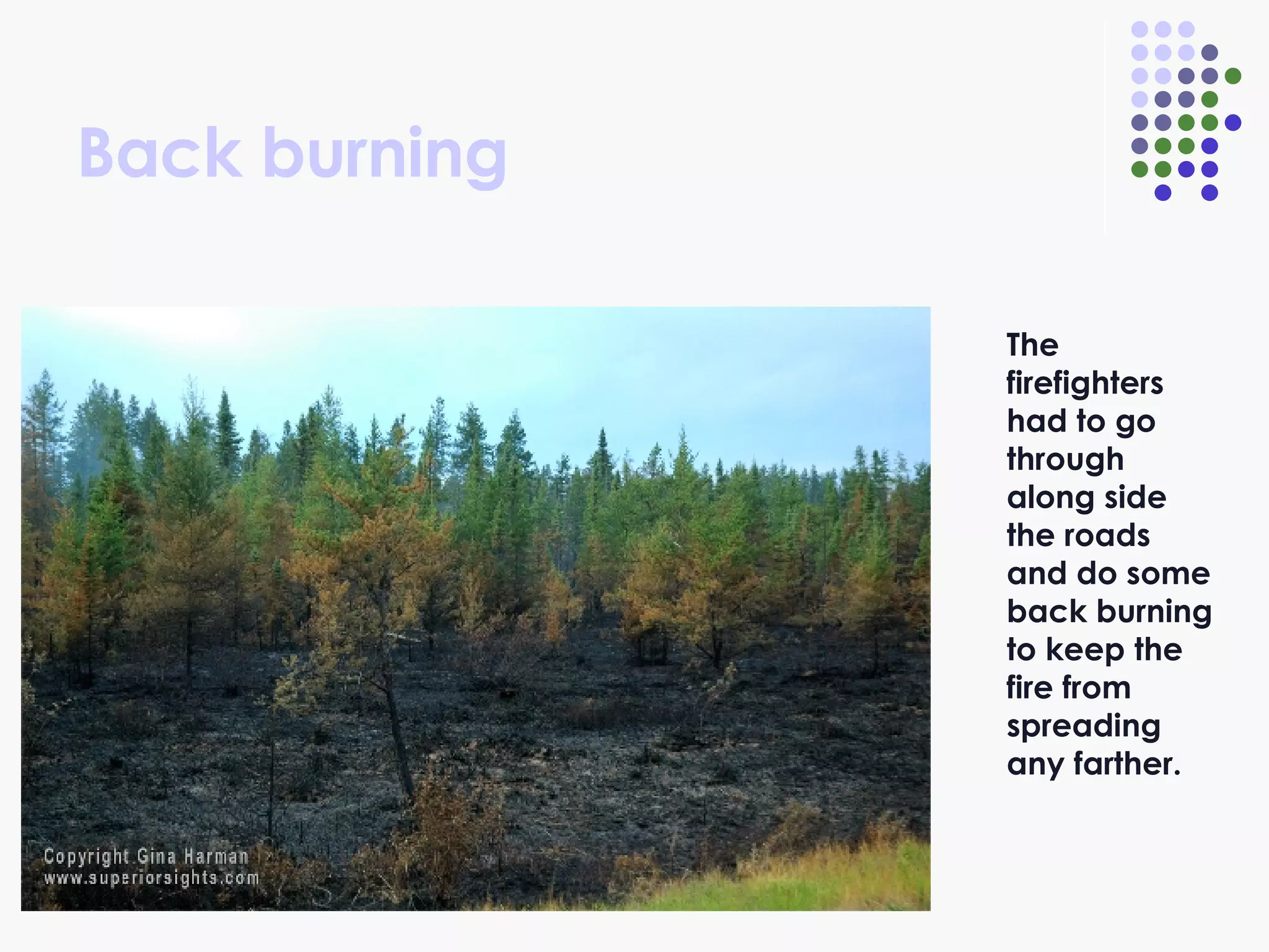 The Newberry/Sleeper Lake Fire | PPT